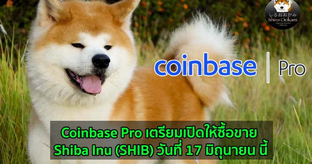 Coinbase Pro เตรียมเปิดให้ซื้อขาย Shiba Inu (SHIB) วันที่ 17 มิถุนายน ...