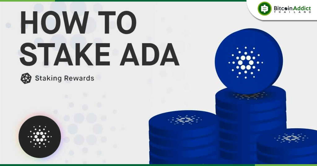 ทำความรู้จักวิธี Stake ADA และรับผลตอบแทนที่มั่นคง