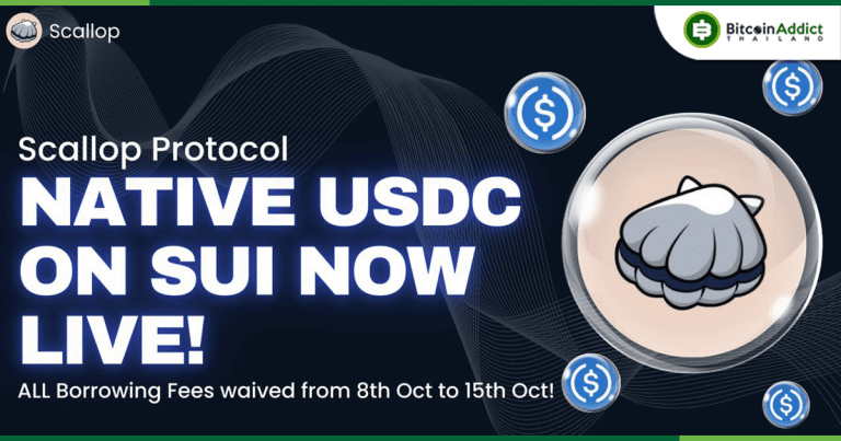 Scallop จัดหนัก! ฉลองรองรับ Native USDC บน Sui ด้วยแคมเปญ Borrow - Swap ชิงรางวัล - Bitcoin Addict